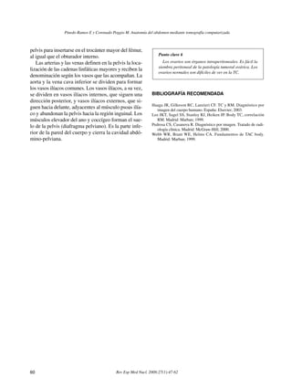 Lectura de anatomia tomografica del abdomen y pelvis | PDF