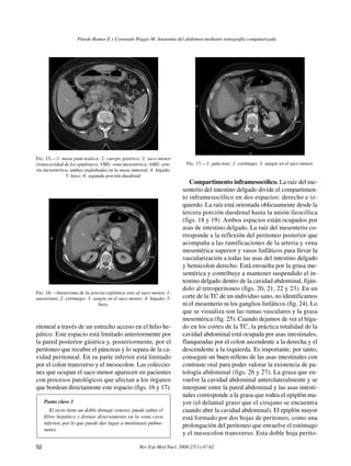 Lectura de anatomia tomografica del abdomen y pelvis | PDF