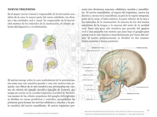 LECTURA Fisiología de la ATM y biomecánica.pdf