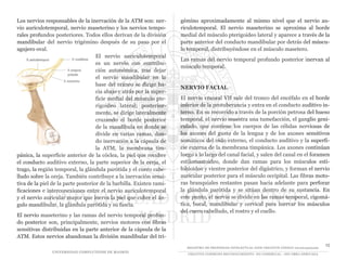 LECTURA Fisiología de la ATM y biomecánica.pdf