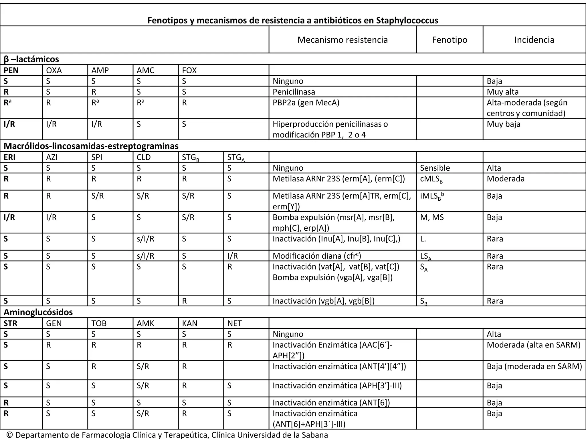 Lectura interpretada del antibiograma | PDF