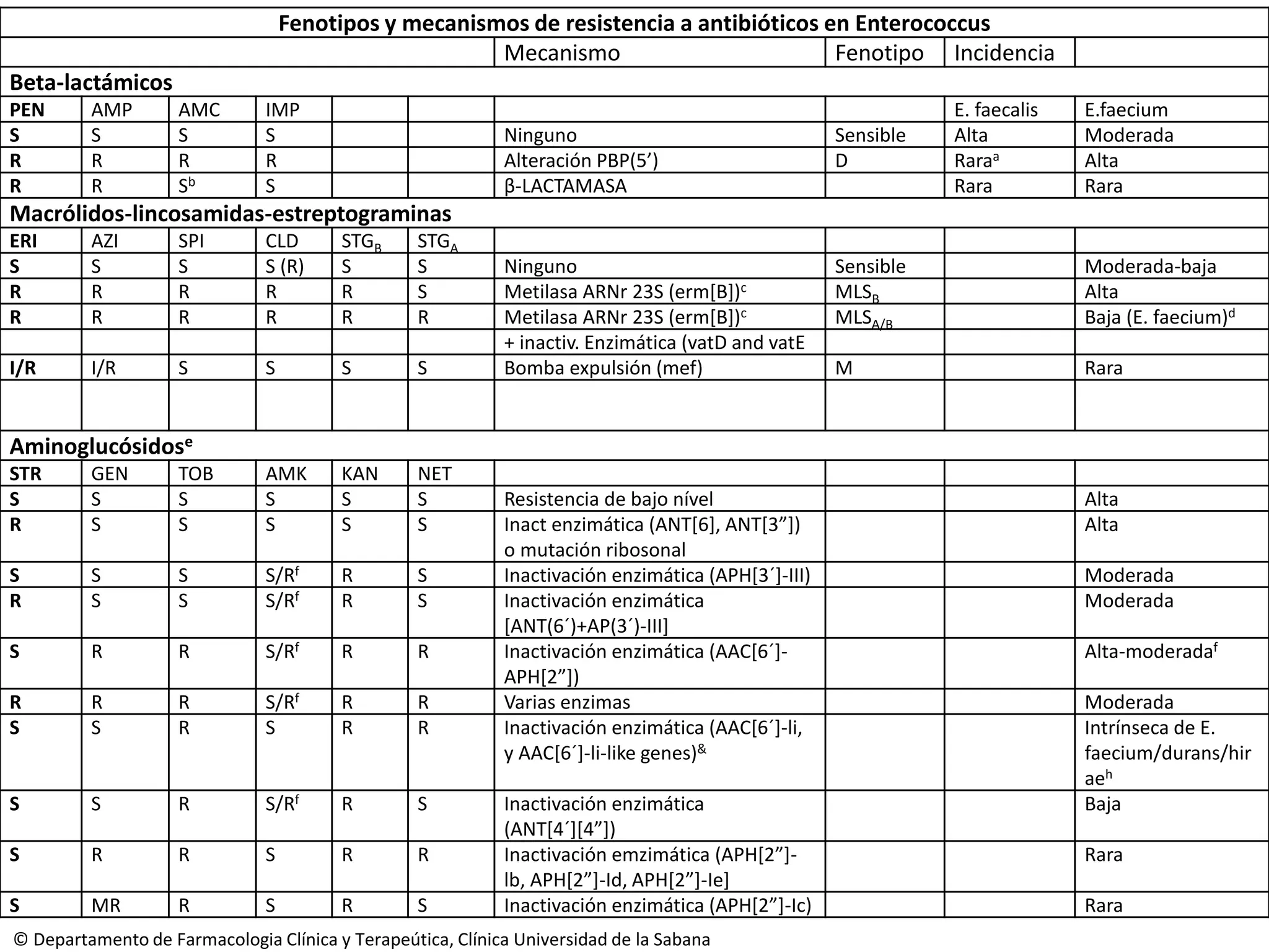 Lectura interpretada del antibiograma | PDF