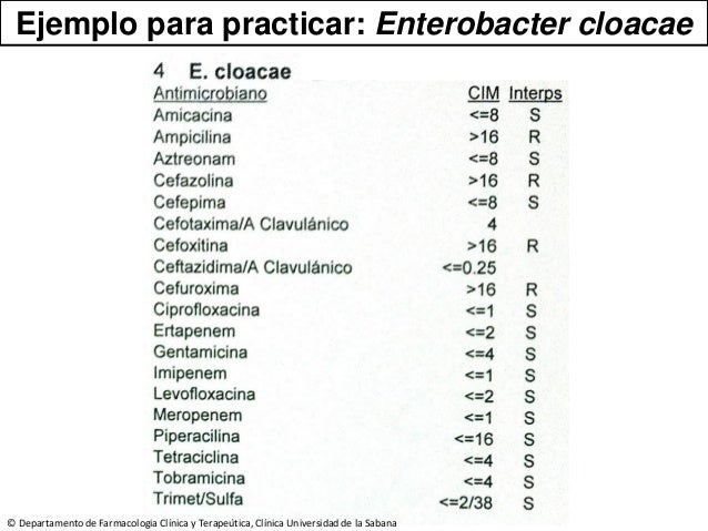 Lectura interpretada del antibiograma