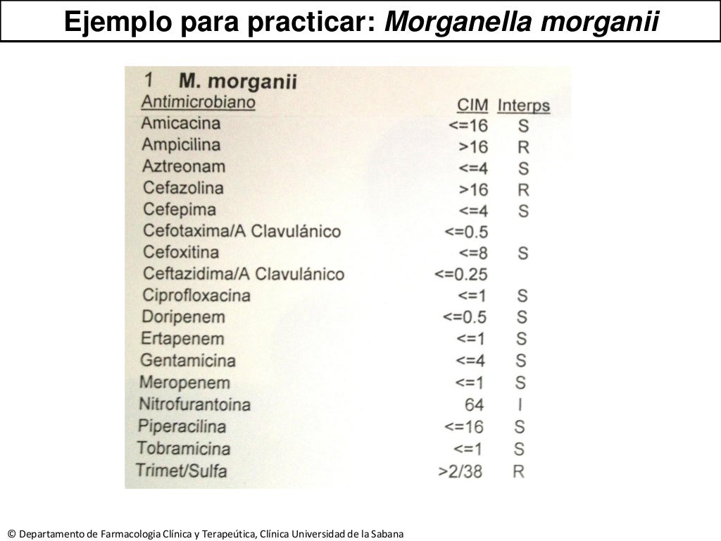 Lectura interpretada del antibiograma