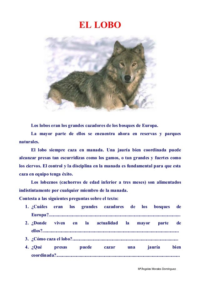 Lecturas animales
