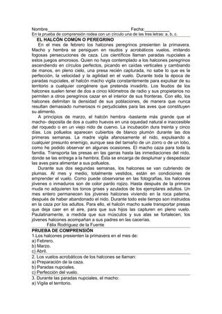 Lecturas de comprension | DOC