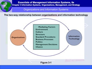 Essentials of Management Information Systems | PDF