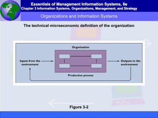 Essentials of Management Information Systems | PDF