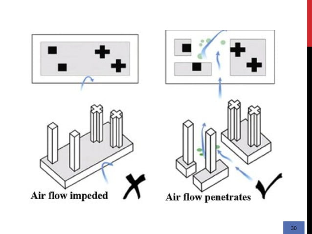 Lecture-06-Block structure & Orientation 18-11-2024.pptx