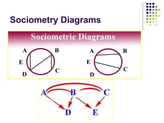 Lecture 08 sociometry | PPT