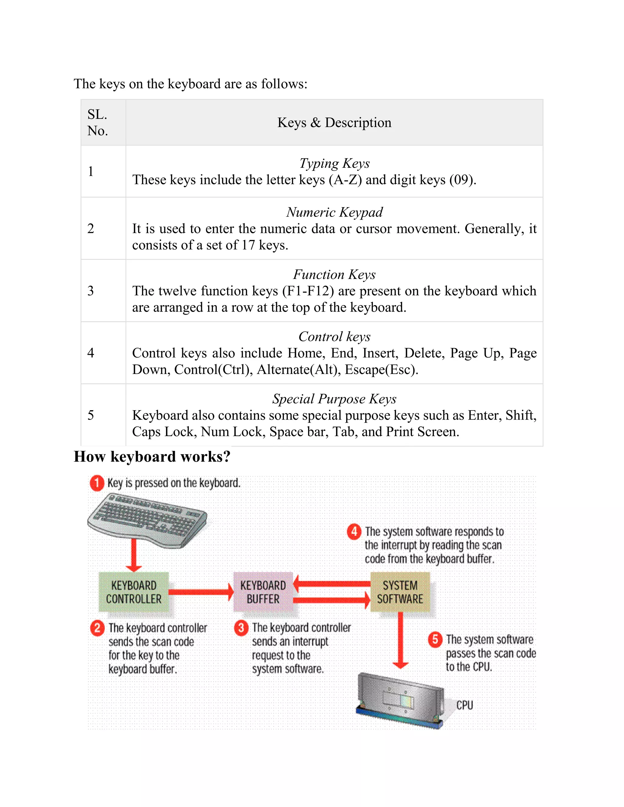 Input devices of computer | PDF