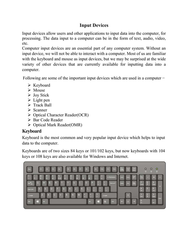 Input devices of computer | PDF