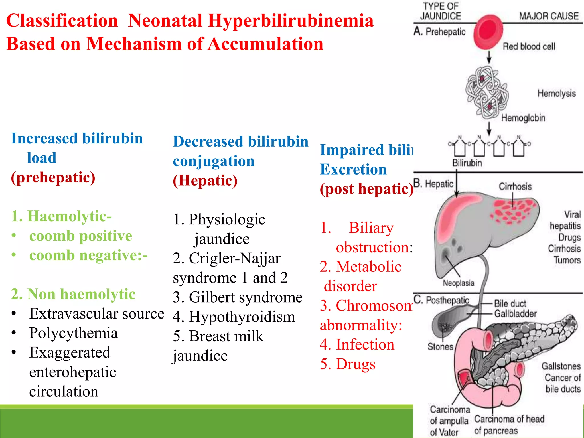 Lecture- 09. Neonatal jaundice | PPTX