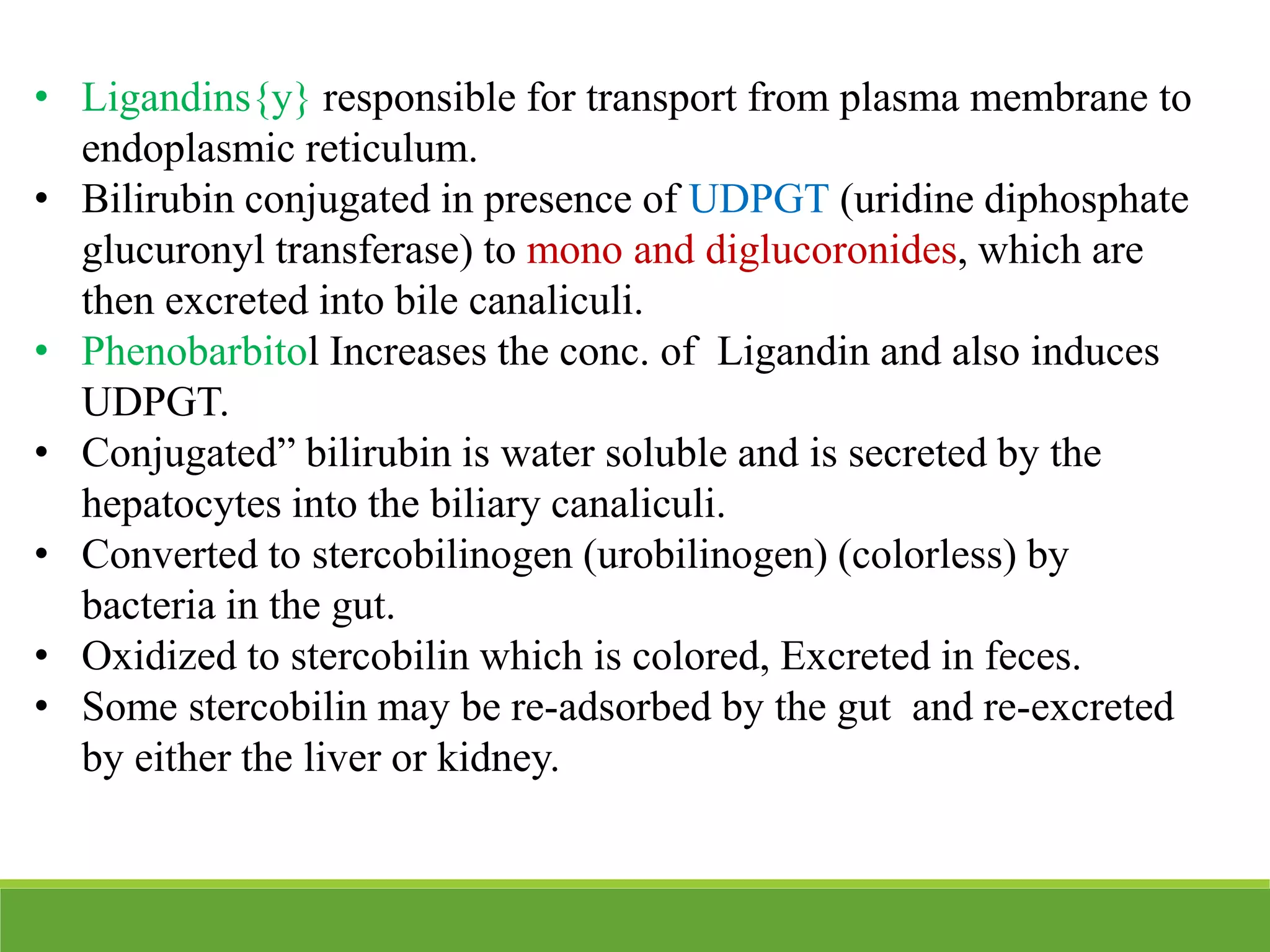 Lecture- 09. Neonatal jaundice | PPTX
