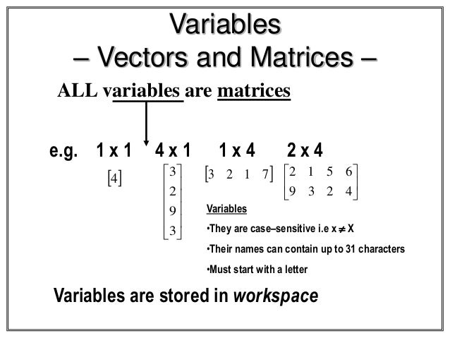 Difference between vector and matrix matlab - lityacu