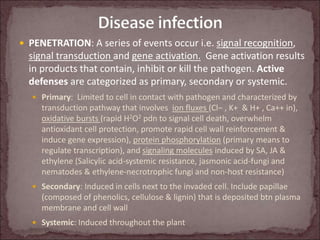 Plant disease and defense mechanisms | PPT