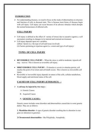 BPharm 2 Semester Pathophysiology unit 1 | PDF