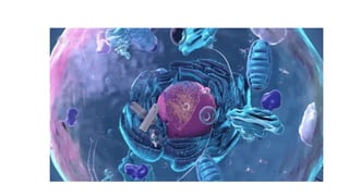 scientist of cell biology, what is a cell, 3d image of prokaryotic cell ...