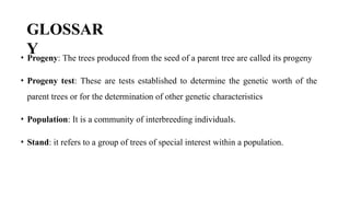Introduction to For gen&Tree Improvement | PPTX