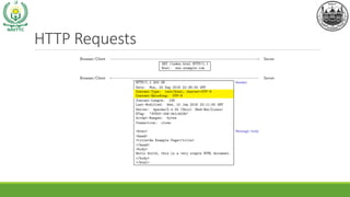 What is WWW, explain the basic structure of HTML | PDF