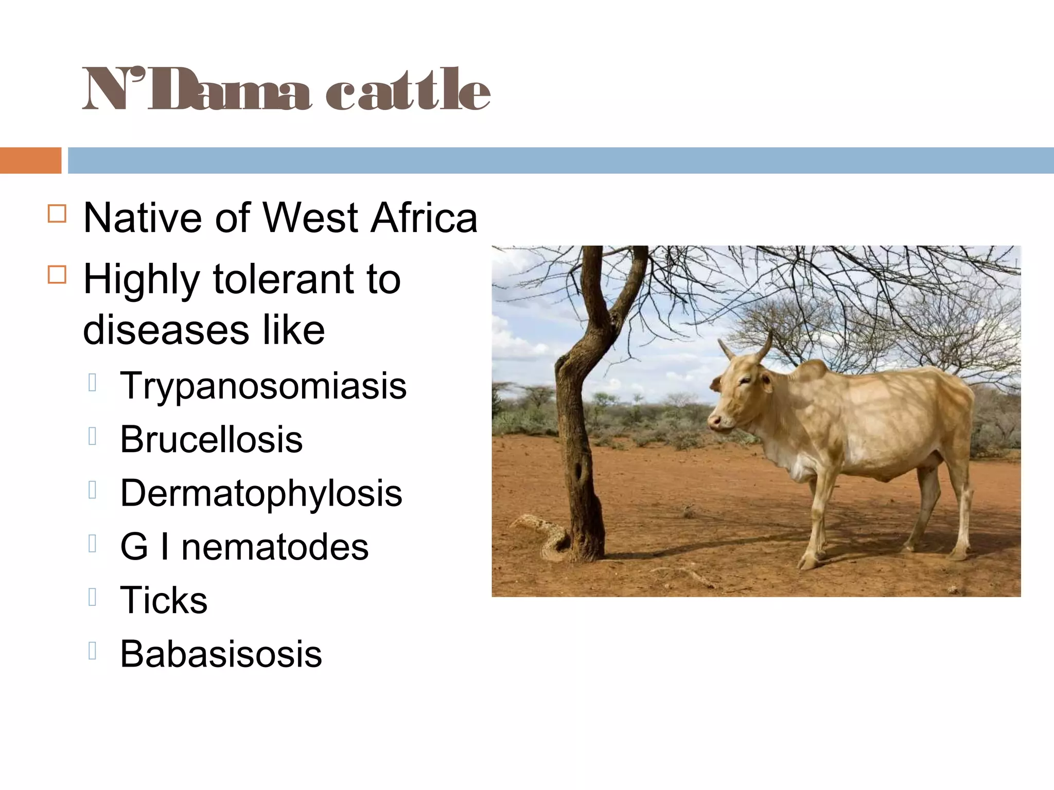 indigenous breeds and their utility | PPT