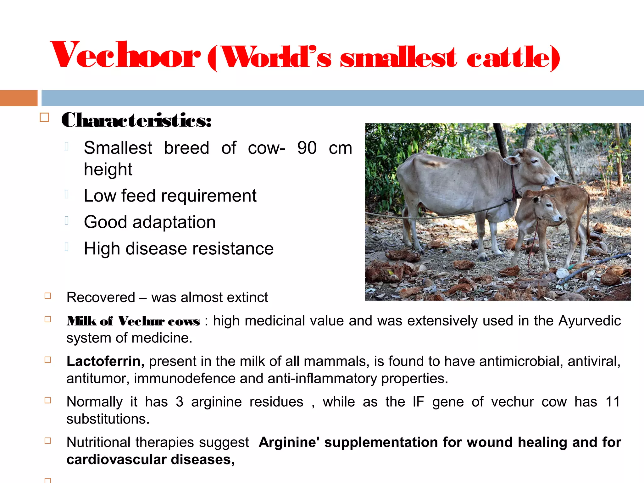 indigenous breeds and their utility | PPT