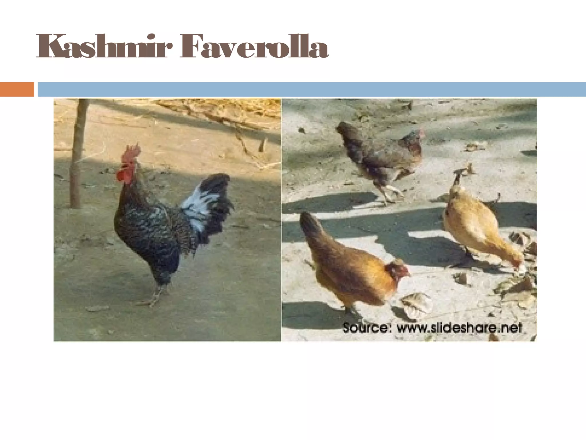 indigenous breeds and their utility | PPT