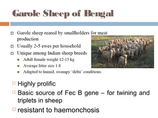 indigenous breeds and their utility | PPT