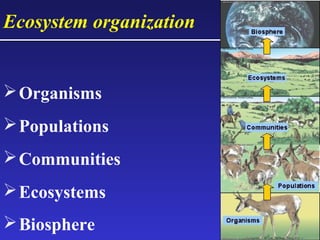 Ecology | PPT