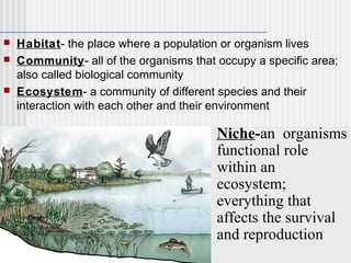 Ecology | PPT