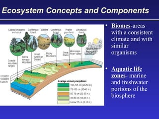 Ecology | PPT | Free Download