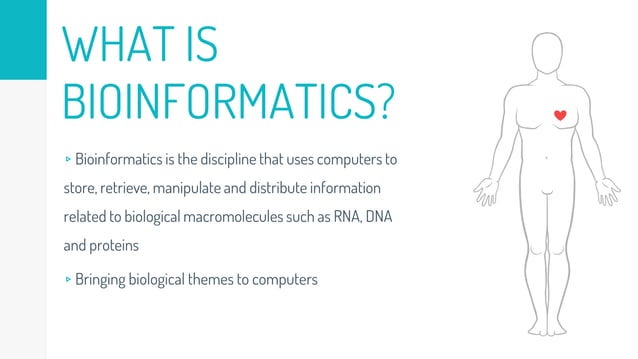 Introduction to Bioinformatics (1).pptx