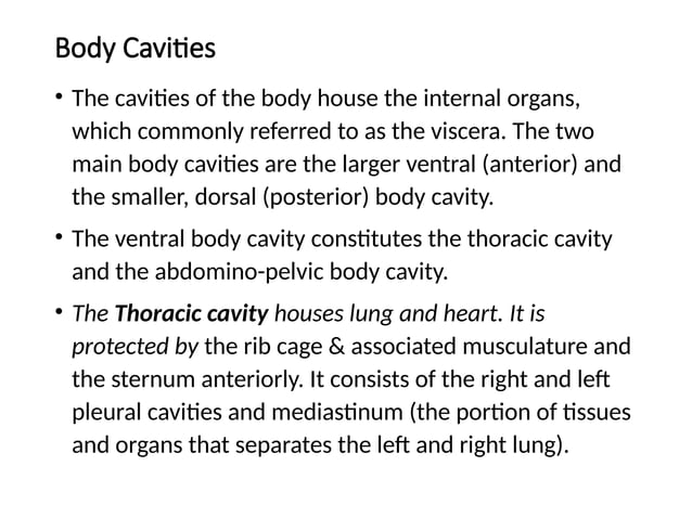 Lecture-1 -Inttroduction to HUMAN ANATOMY.pptx