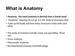 Lecture-1 -Inttroduction to HUMAN ANATOMY.pptx