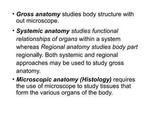 Lecture-1 -Inttroduction to HUMAN ANATOMY.pptx