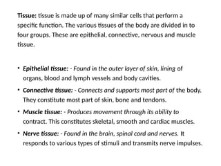 Lecture-1 -Inttroduction to HUMAN ANATOMY.pptx