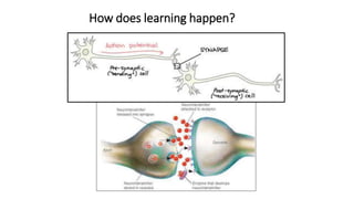 Learning to be a better learner.pptx