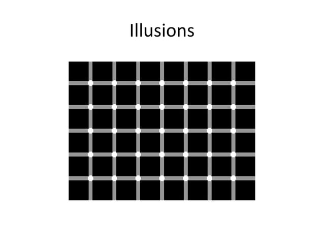 Lecture 1 computer vision introduction | PDF