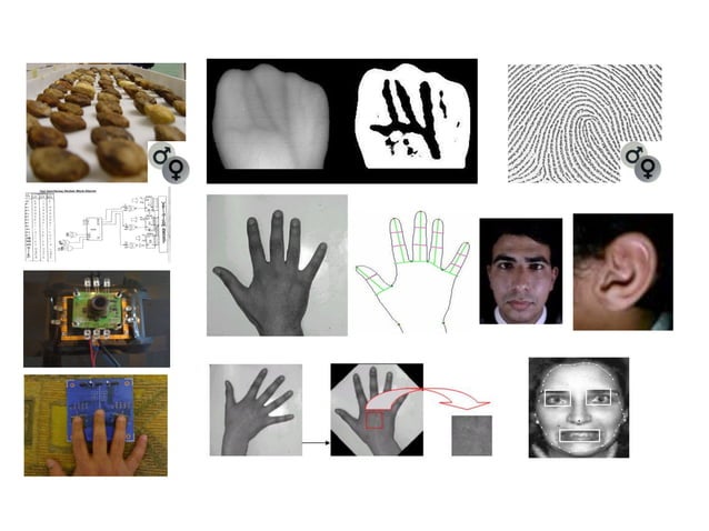 Lecture 1 Computer Vision Introduction Pdf