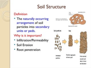LECTURE-1-Soil Health – Definition – Soil quality indices.pptx