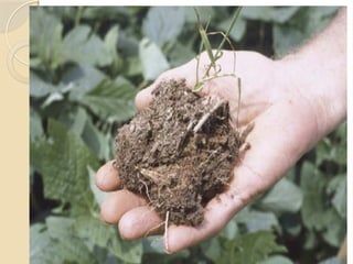 LECTURE-1-Soil Health – Definition – Soil quality indices.pptx
