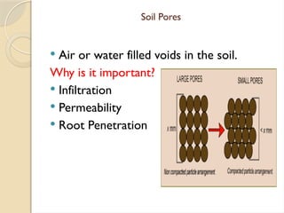 LECTURE-1-Soil Health – Definition – Soil quality indices.pptx