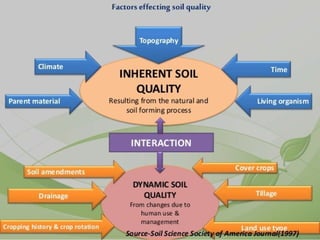 LECTURE-1-Soil Health – Definition – Soil quality indices.pptx