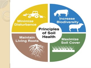 LECTURE-1-Soil Health – Definition – Soil quality indices.pptx