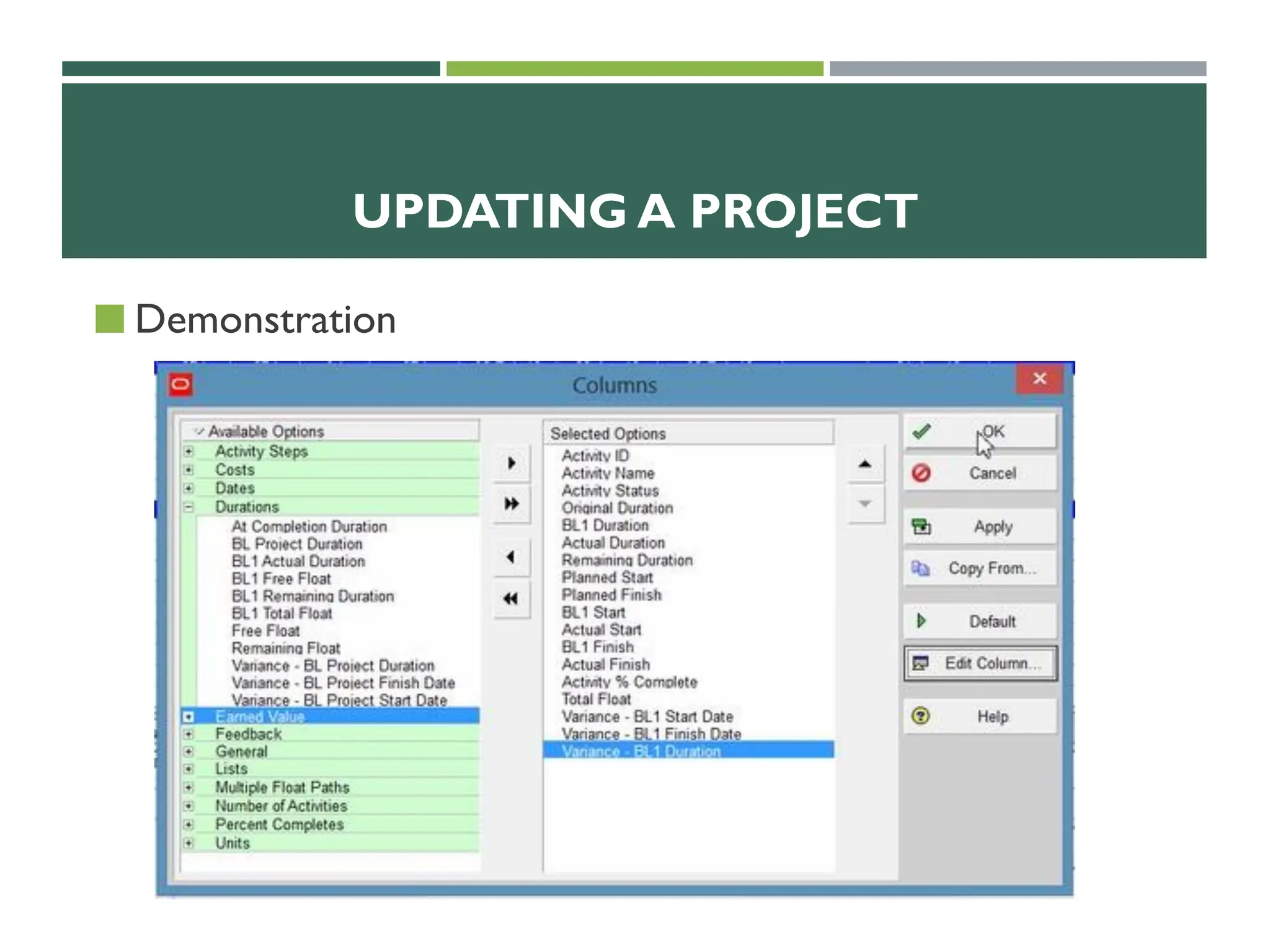 Project Management And Updating And Monitoring Ppt