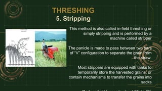 LECTURE-10-HARVESTING-AND-THRESHING.pptx