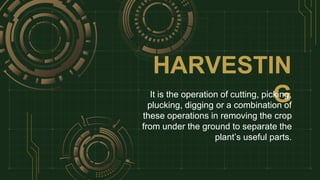 LECTURE-10-HARVESTING-AND-THRESHING.pptx