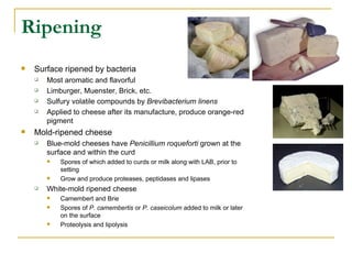 Cheese Ripening | PPT