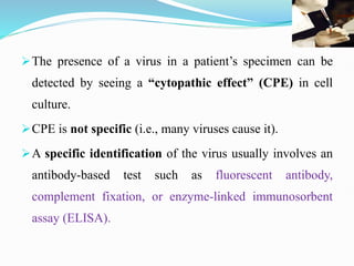 lecture-10, Host defence and laboratory diagnosis of viruses.pptx