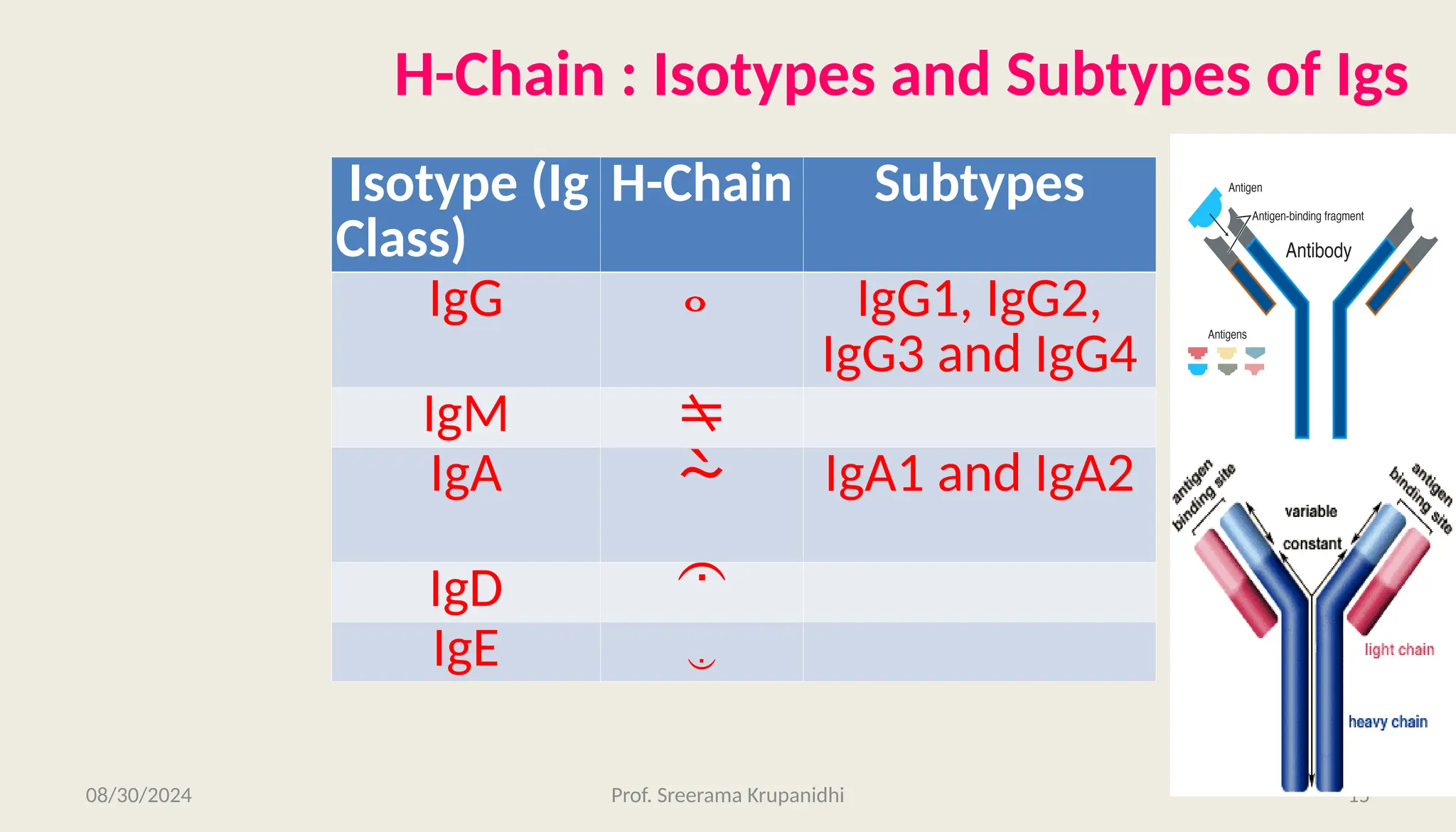 Lecture-10 Immunoglobulins: Their structure and function.pptx